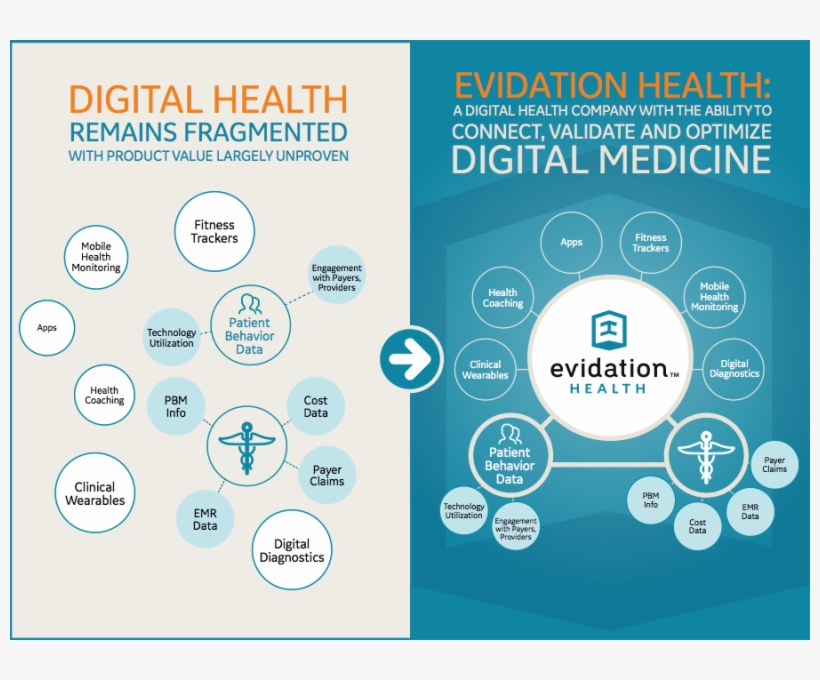 Ceo, Evidation Health - Evidation Health - 800x600 PNG Download - PNGkit