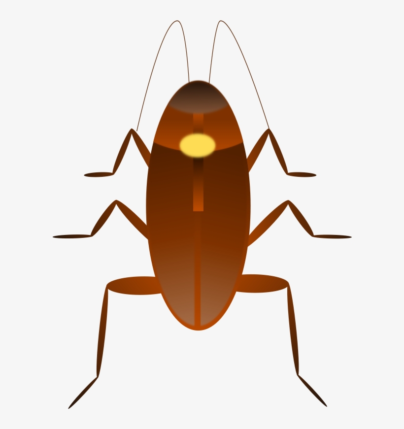 Kecoa Vector - 621x800 PNG Download - PNGkit