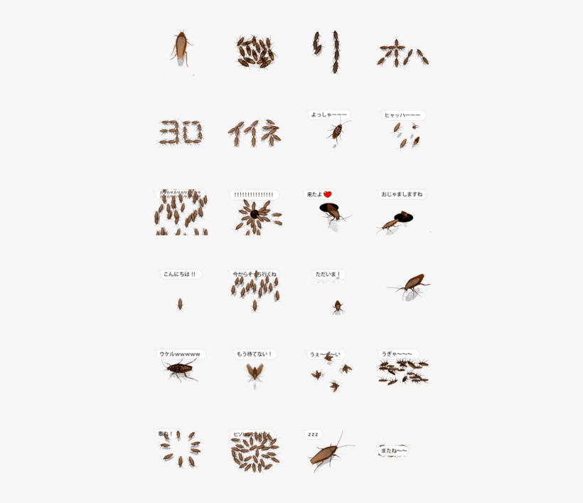 Cockroach On The Smartphone - Insect - 420x673 PNG Download - PNGkit