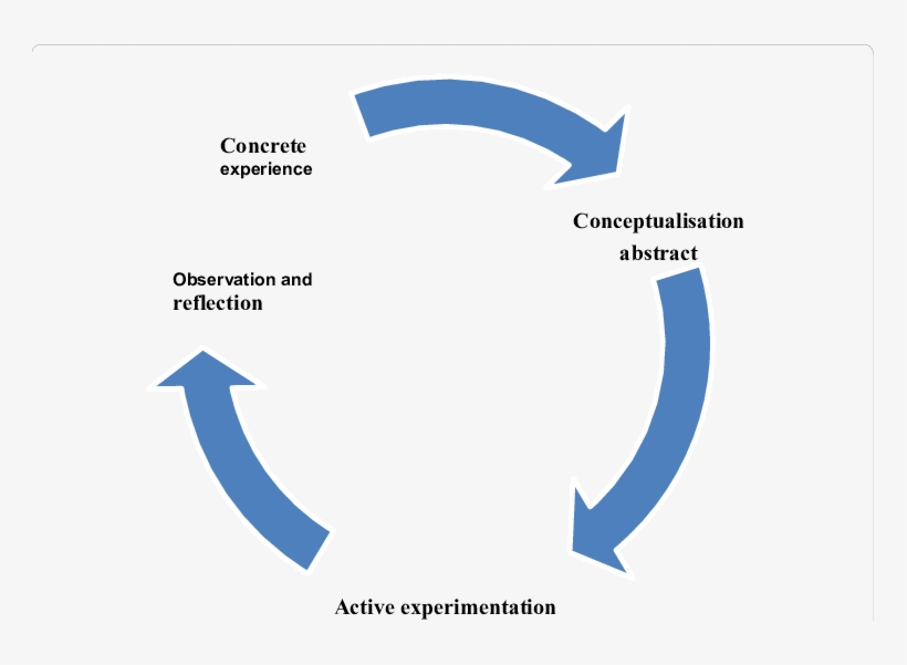 Cycle Action Reflection - 3 Stage Life Cycle Dragonfly - 761x521 PNG ...