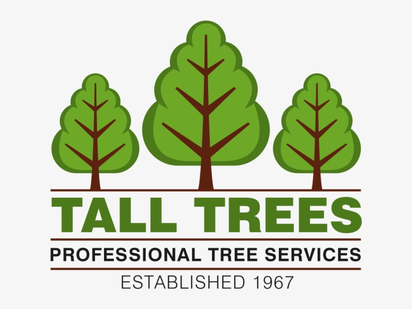 Tall Trees Professional Tree Services Logo - 640x546 PNG Download - PNGkit