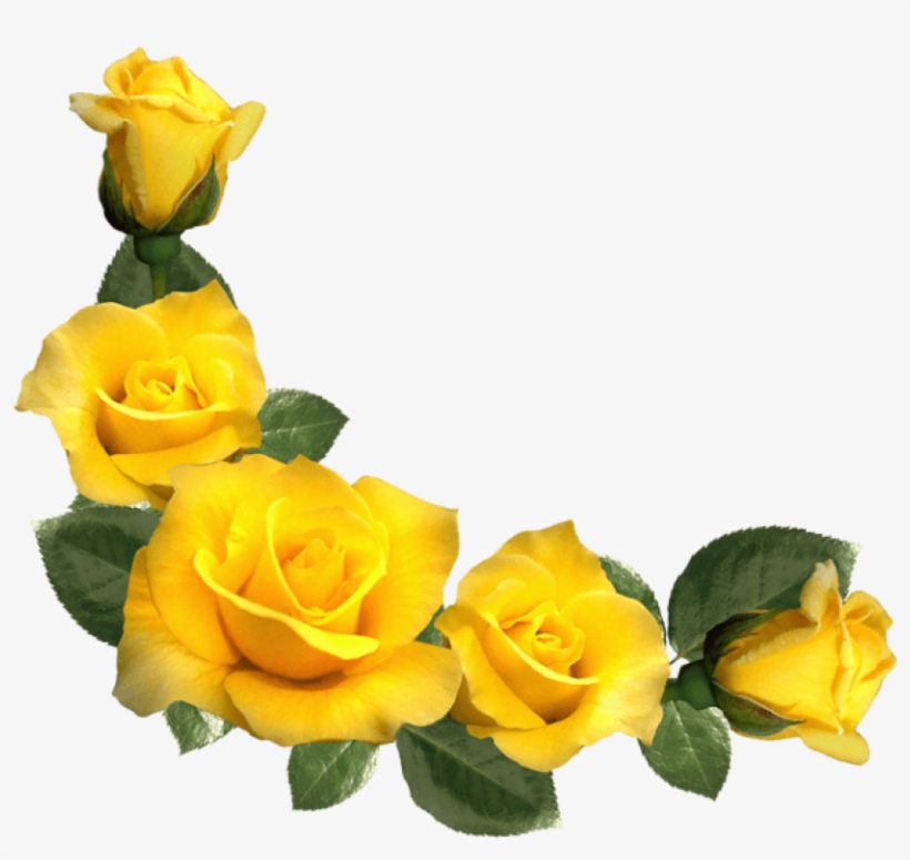 Free Png Beautiful Yellow Roses Decor Png Images Transparent - Yellow ...