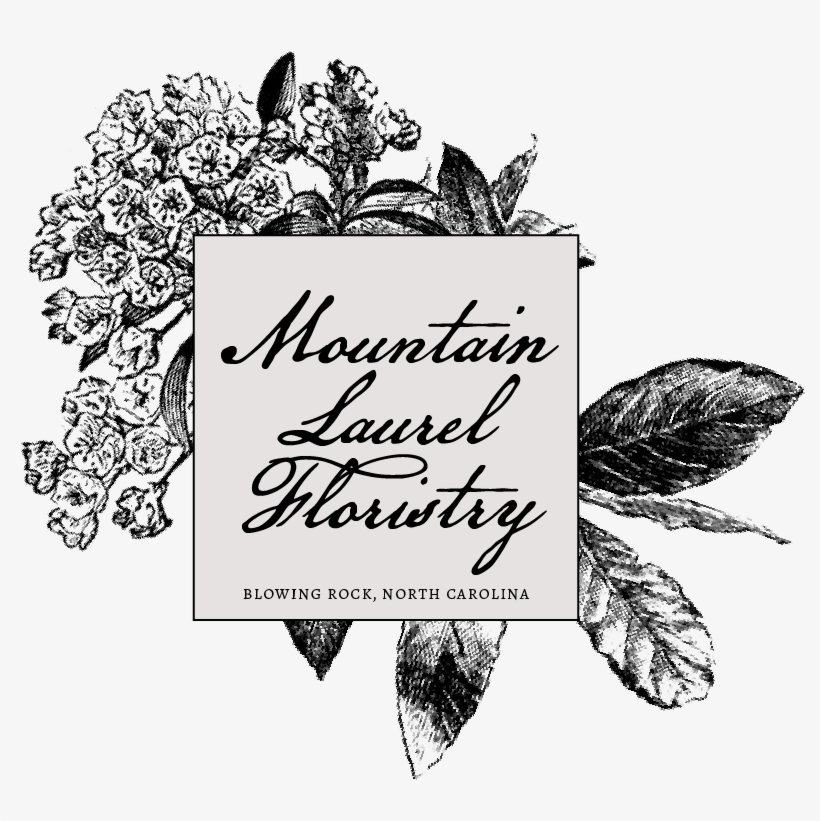 Mountain Laurel Floristry - Calligraphy - 1366x768 PNG Download - PNGkit