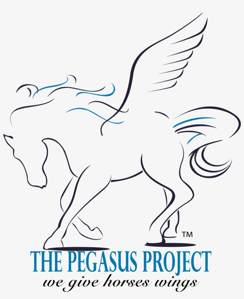 The Pegasus Project Tm - Boutique - 1088x1230 PNG Download - PNGkit
