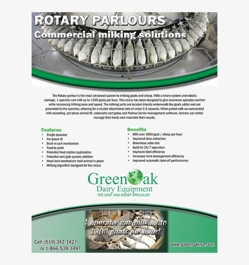Rotary Flyer-s - Brochure - 612x792 PNG Download - PNGkit