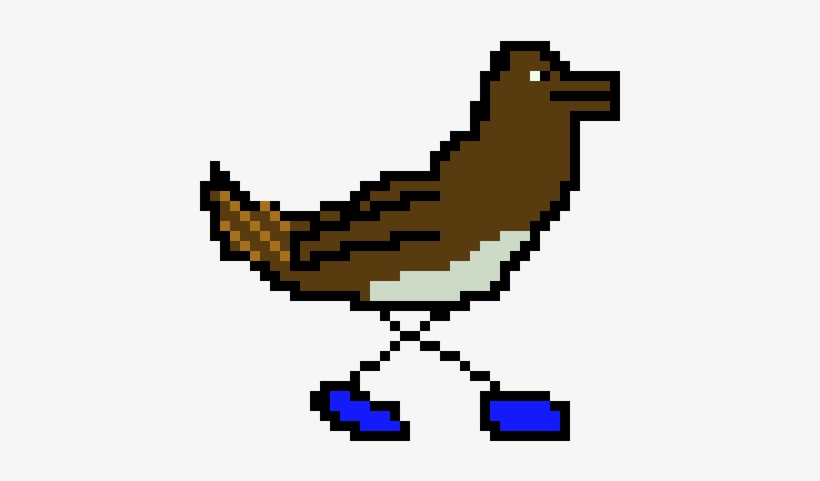 Roadrunner - 800x870 PNG Download - PNGkit