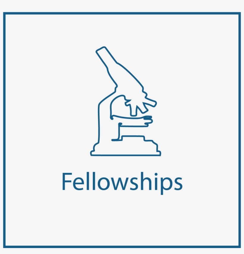 Wipo Research Fellowship Icon - Windows 7 Sp1 - 1256x1244 PNG Download ...