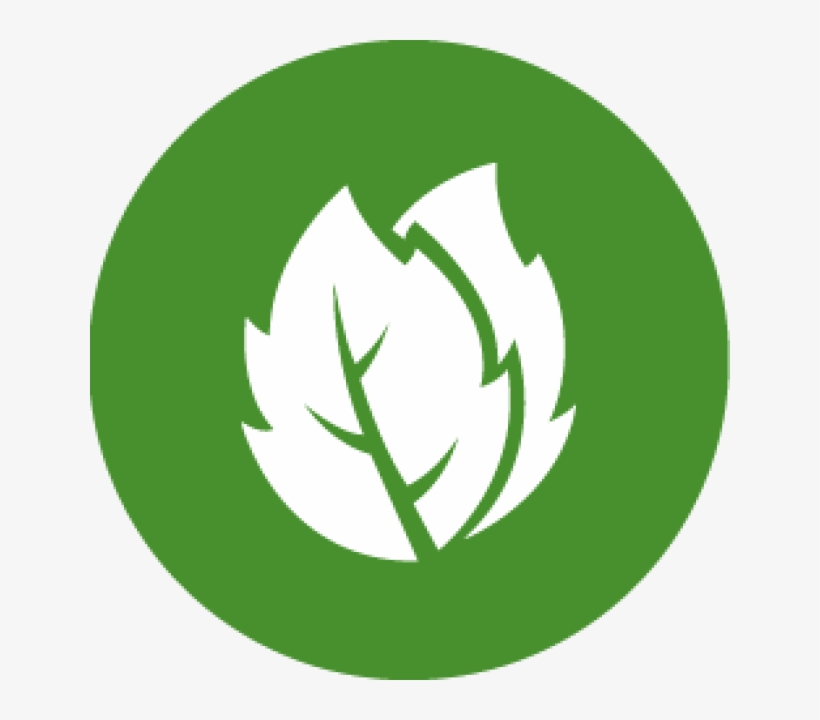 Bolsitas - Natural Remedies Icon - 640x640 PNG Download - PNGkit