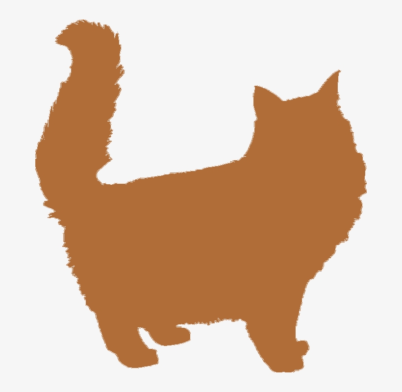 Foster - Maine Coon Cat Silhouette - 676x720 PNG Download - PNGkit