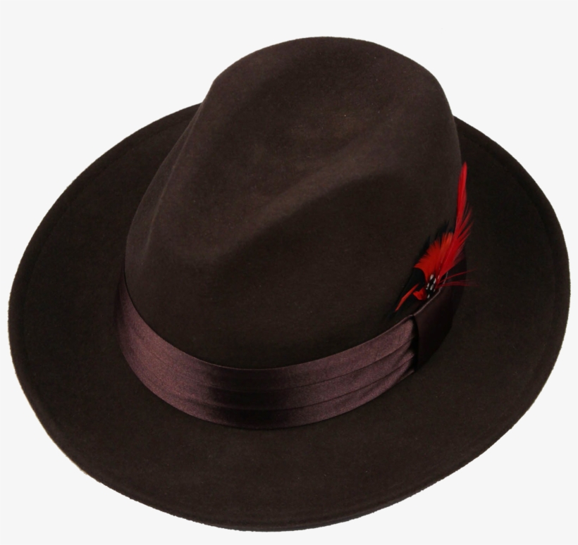 Fedora - 3000x2687 PNG Download - PNGkit