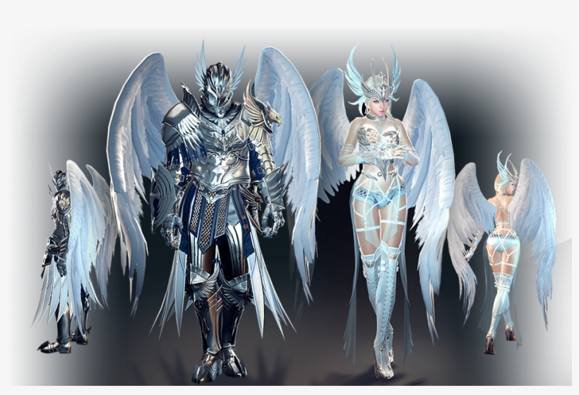 Valkyrie Wings / Special Valkyrie Set / Special Einheri - Vindictus ...