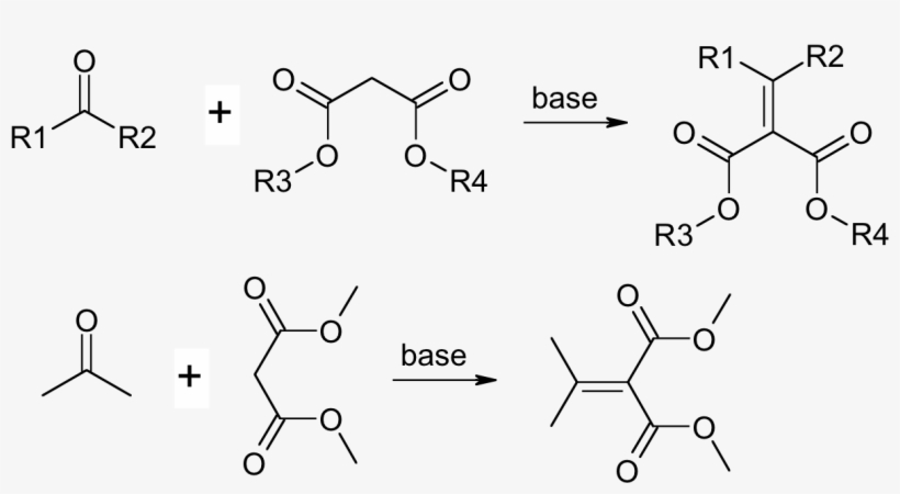 Knoevenagel Condensation - Diagram - 1213x628 PNG Download - PNGkit