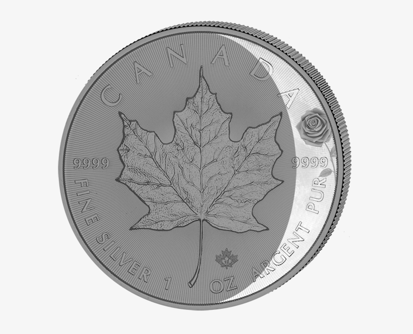 Maple Leaf "moon Phases" 4 Seasons Silver Coins Set - Coin - 600x600 ...
