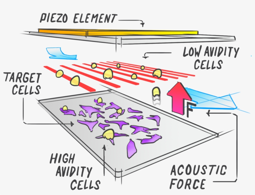 Z-movi Technology Explained - Diagram - 3990x1862 PNG Download - PNGkit