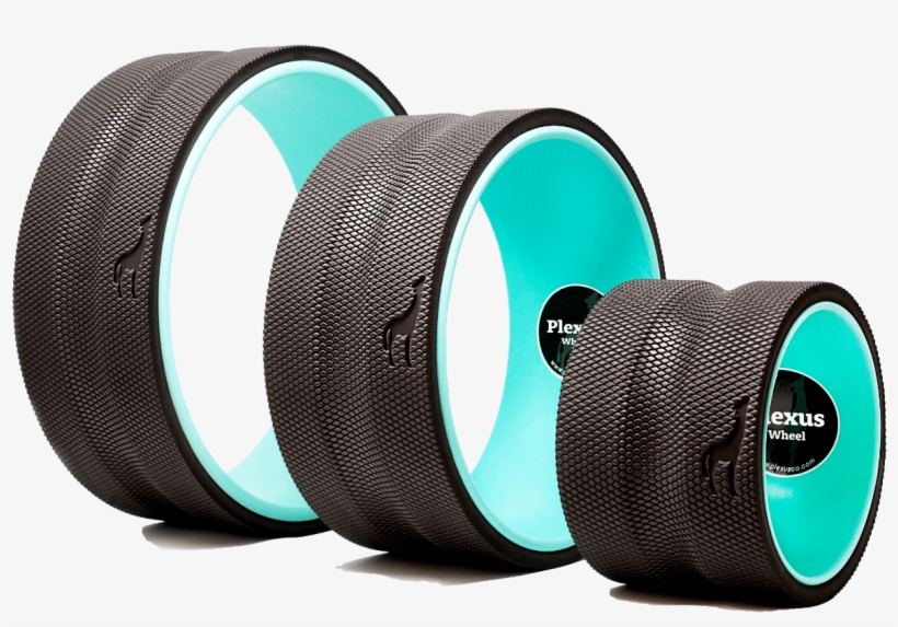 Thankfully, The Plexus Wheel Offers The Everyday 'back - Plexus Wheel ...