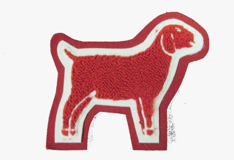 Goat - Bull - 1000x1000 PNG Download - PNGkit