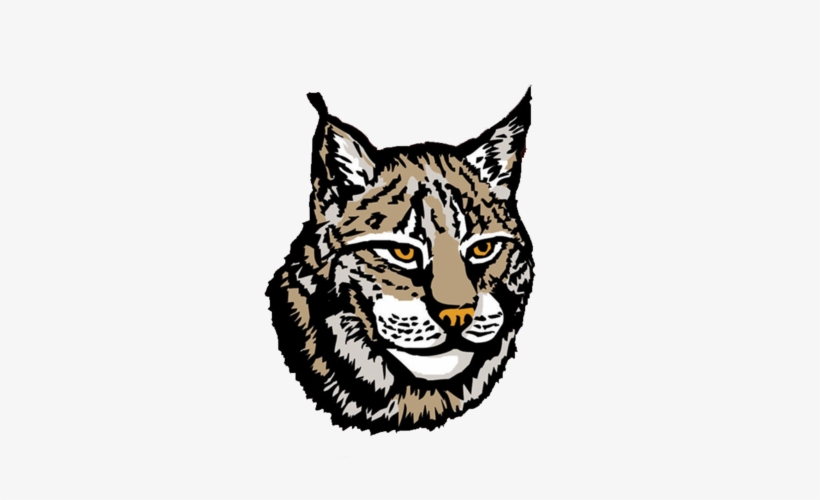 Lynx Png Image - Lynx Png - 500x480 PNG Download - PNGkit