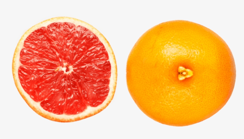 Free Png Grapefruit Png Images Transparent - Grapefruit Slice Png ...