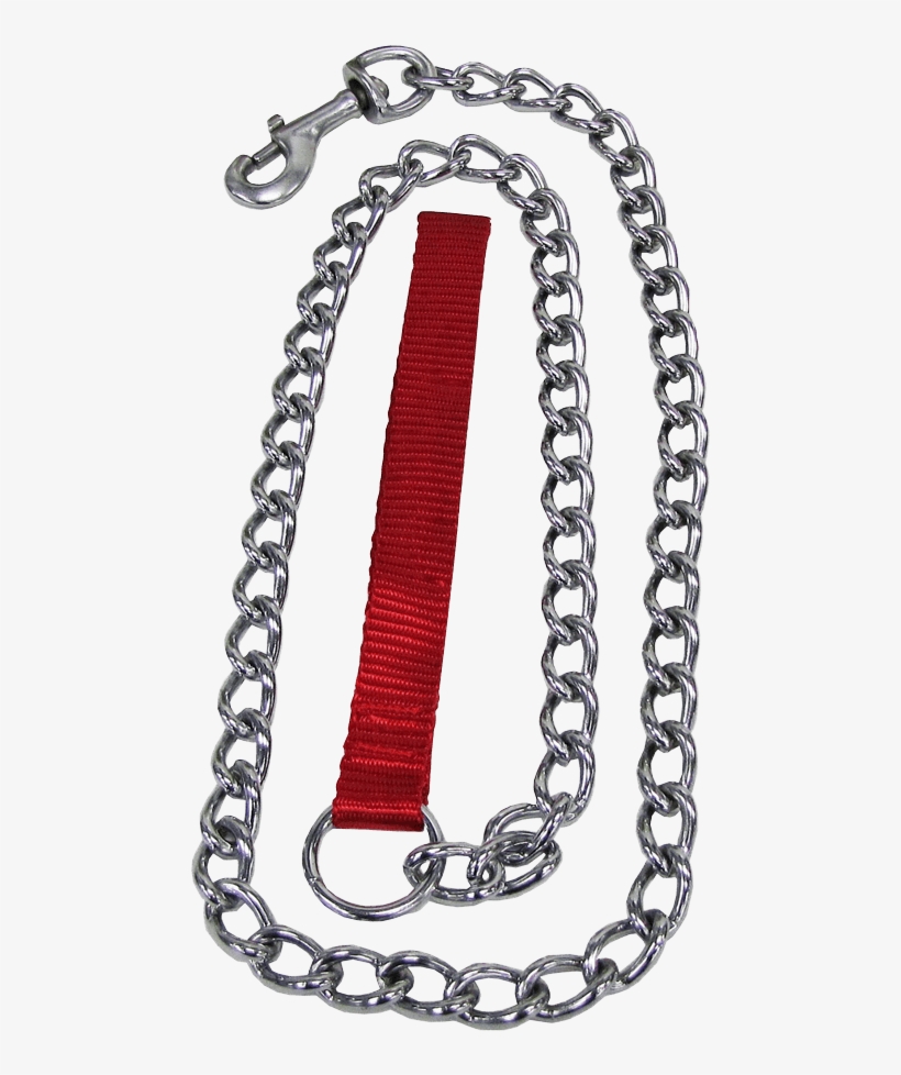Collars And Leads - Chain - 506x918 PNG Download - PNGkit