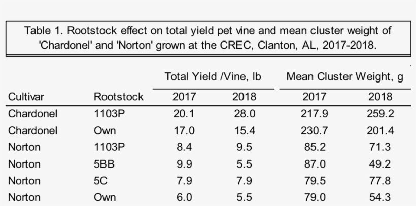 Grapes - Number - 924x424 PNG Download - PNGkit