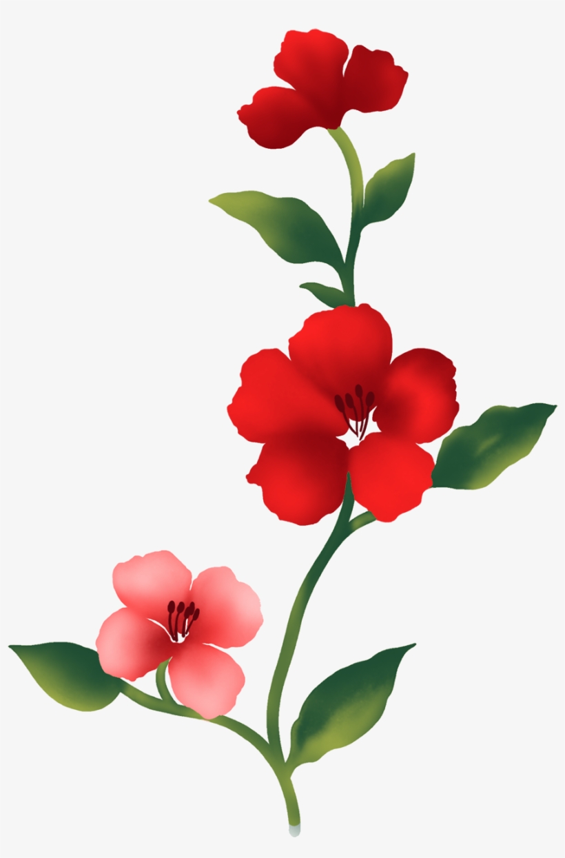 红色鲜花盛开 - Hojas Con Flores Rojas - 1032x1557 PNG Download - PNGkit