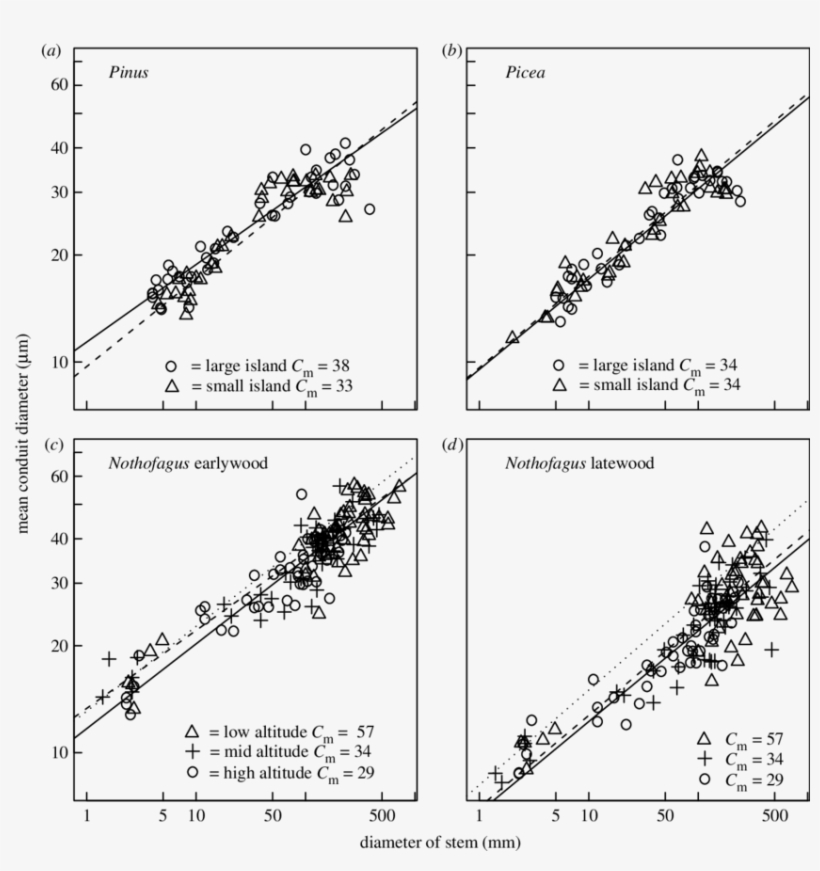 The Relationship Between Tree Stem Diameter And Mean - Diagram ...