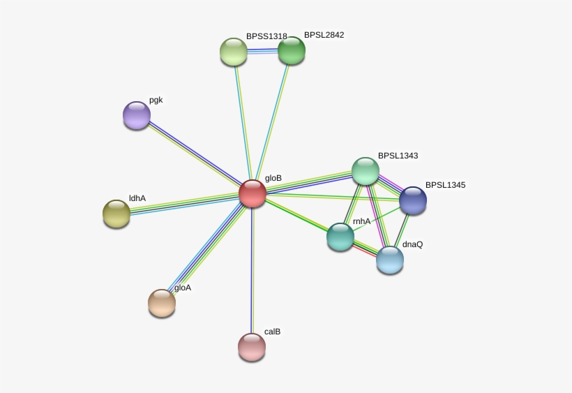 Glob Protein - Circle - 975x520 PNG Download - PNGkit