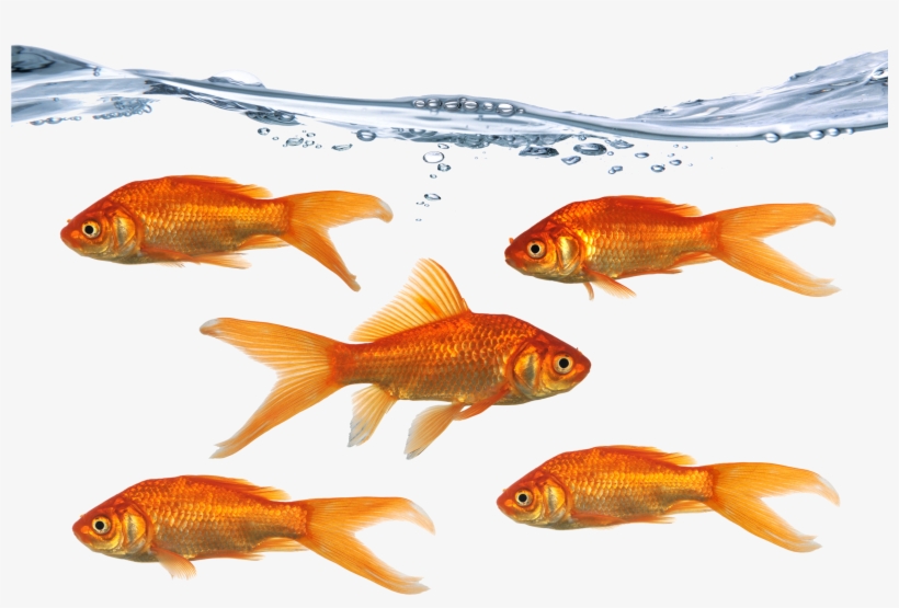 Different Directions - 2500x2500 PNG Download - PNGkit