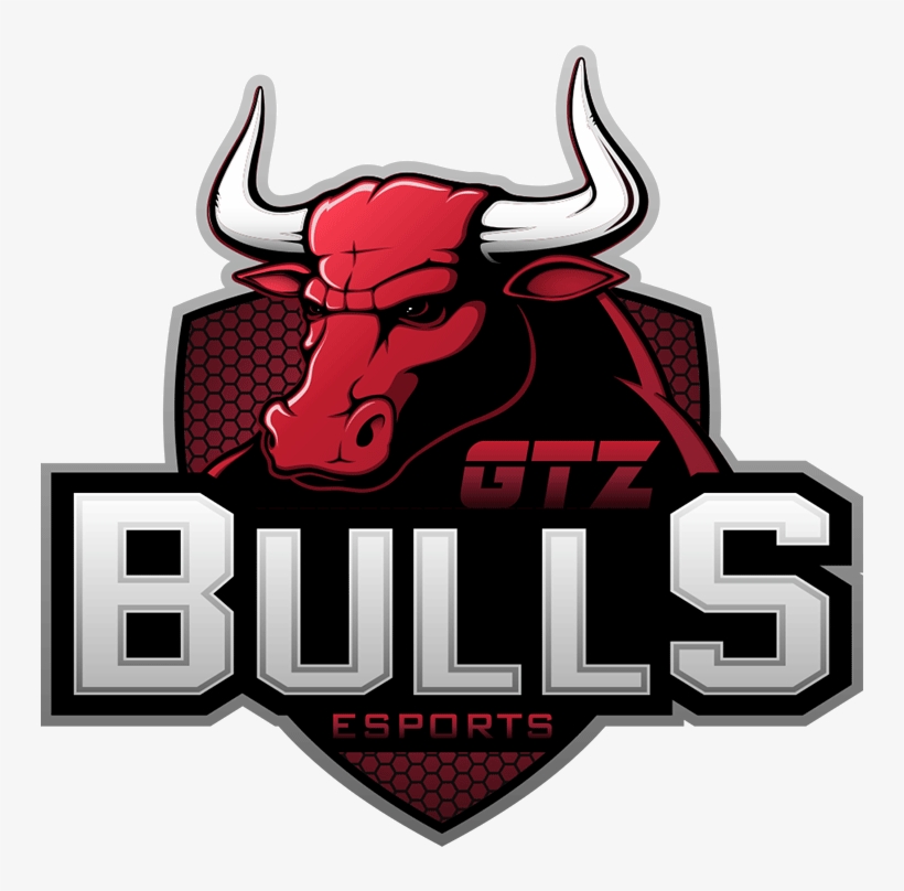 Gtz Bulls - 800x800 PNG Download - PNGkit