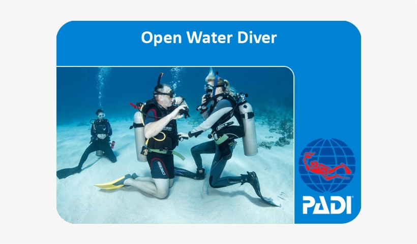 Open Water Diving Certification - Padi - 600x600 PNG Download - PNGkit