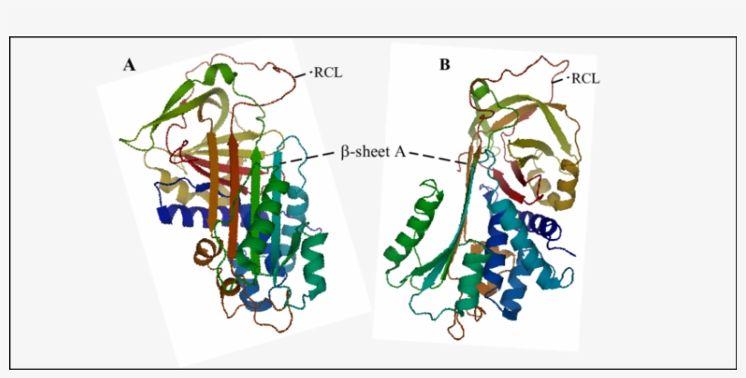 Download Transparent Crystal Structure Of Α 1 Pi In Two Projections ...
