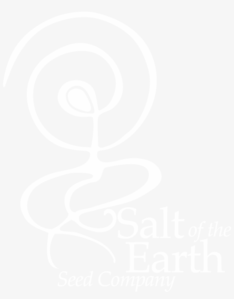 Moroccan Salt Of The Earth Seed Company - University Of Florida Health ...