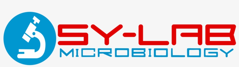 Sy-lab Png - Graphic Design - 2048x501 PNG Download - PNGkit
