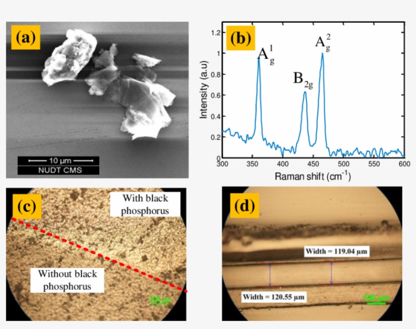 Raman Spectrum Of Bulkstructured Bp - Diagram - 850x641 PNG Download ...