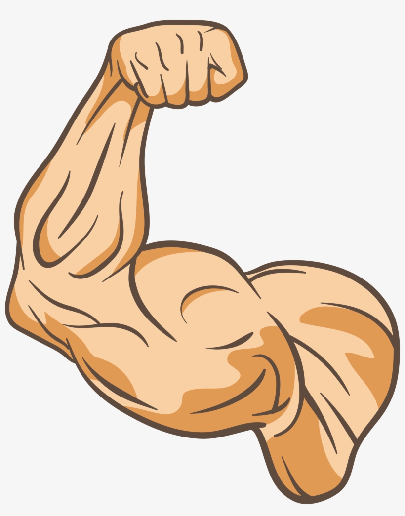 Muscle Clip Art - Muscle Clip Art Png - 2363x2898 PNG Download - PNGkit
