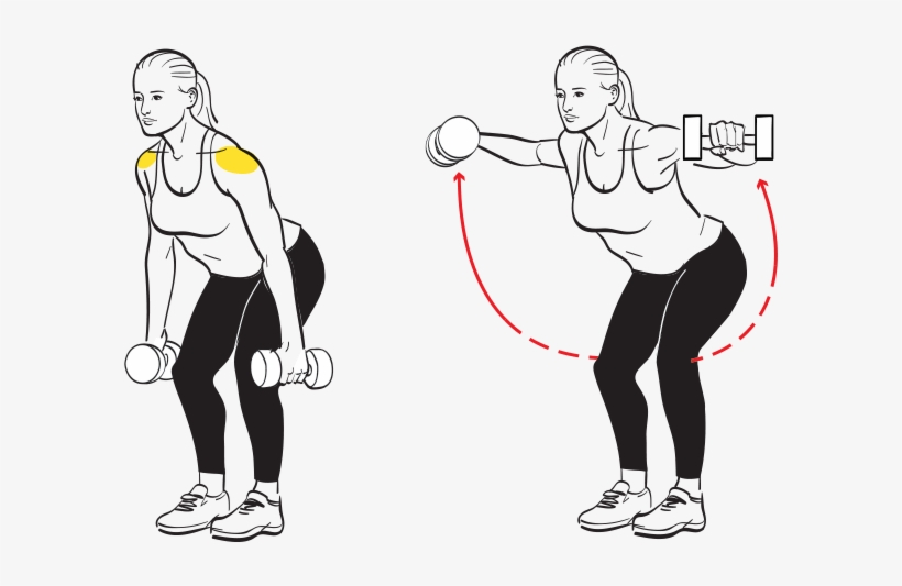 Dumbbell Lateral Raise - Illustration - 770x539 PNG Download - PNGkit