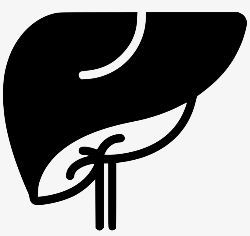 Png File Svg - Liver Icon Png - 980x880 PNG Download - PNGkit
