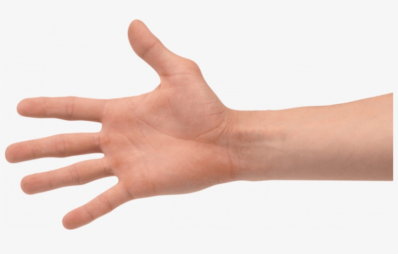 Hand Transparent Background - 817x444 PNG Download - PNGkit