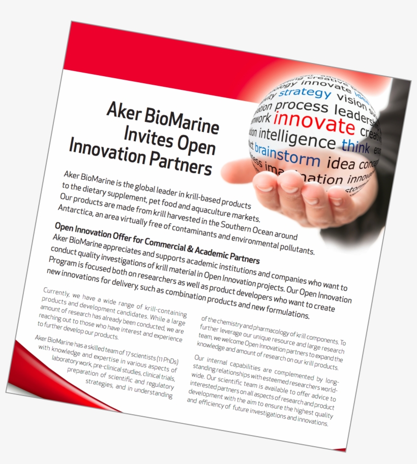Open Innovation Program - 2802x2466 PNG Download - PNGkit