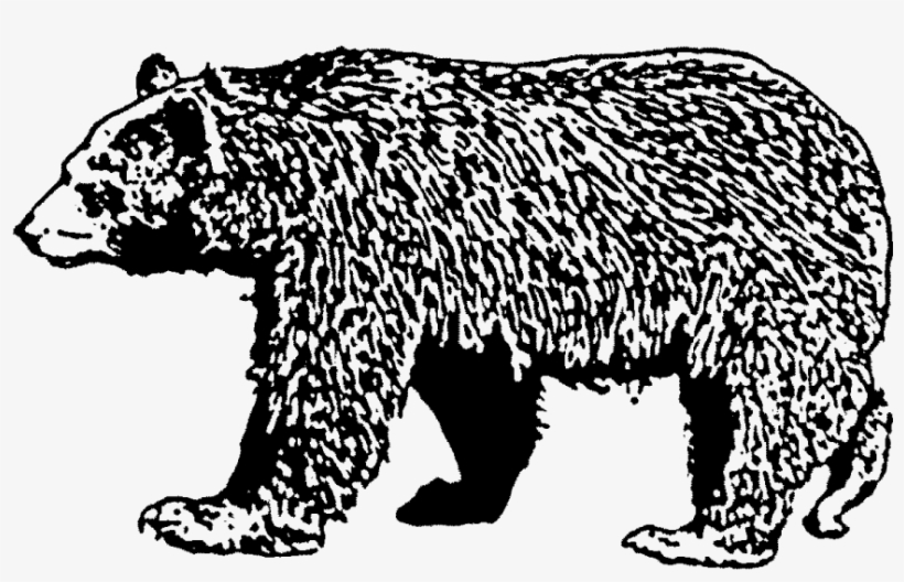 Brown Bear Rubber Stamp - Bear Stamp - 1000x1000 PNG Download - PNGkit