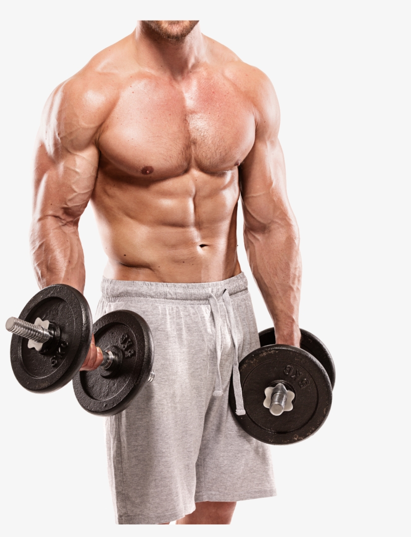 1255 X 1433 8 - Gym Workout Png - 1255x1433 PNG Download - PNGkit