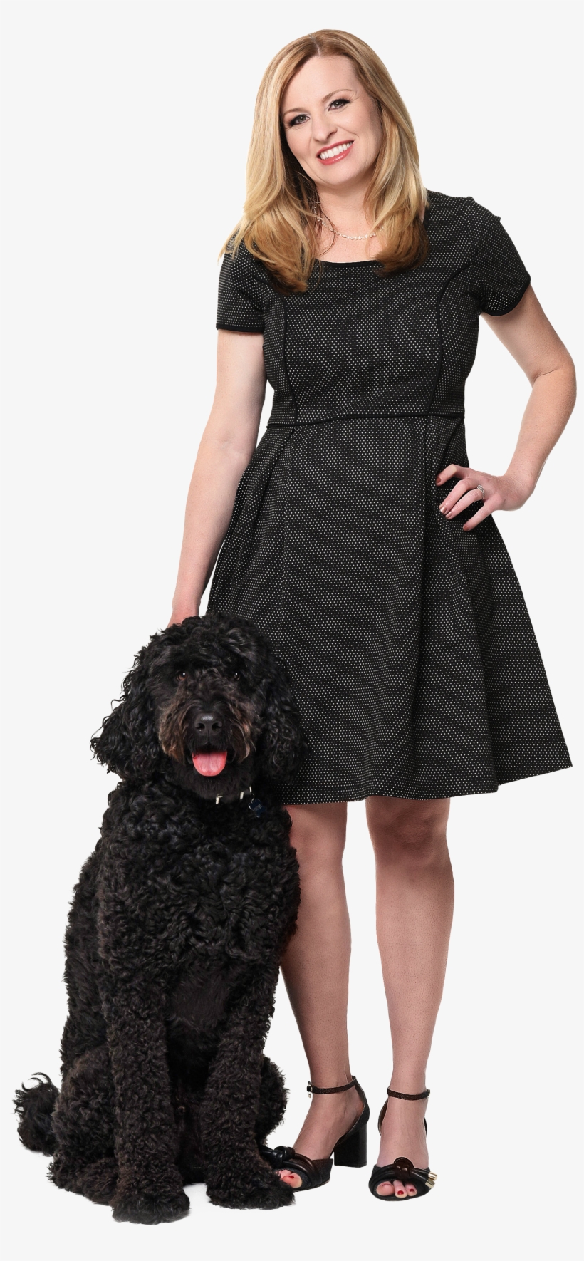 Download Transparent Allison-hero - PNGkit