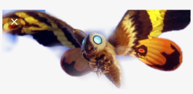 Godzilla Mothra - 1091x480 PNG Download - PNGkit