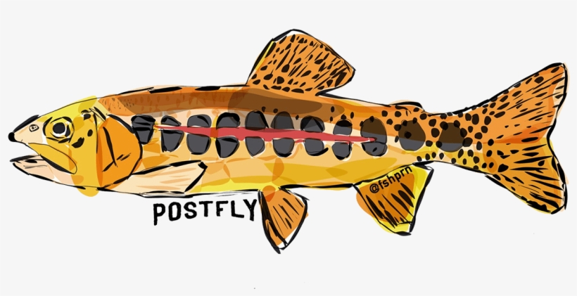 Stay Gold Ponyboy - 1200x1200 PNG Download - PNGkit