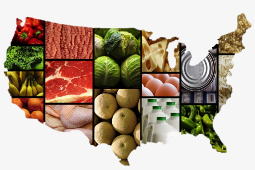 Healthy Food Png Food Pyramid Re - Food Map Of The Us - 1342x848 PNG ...