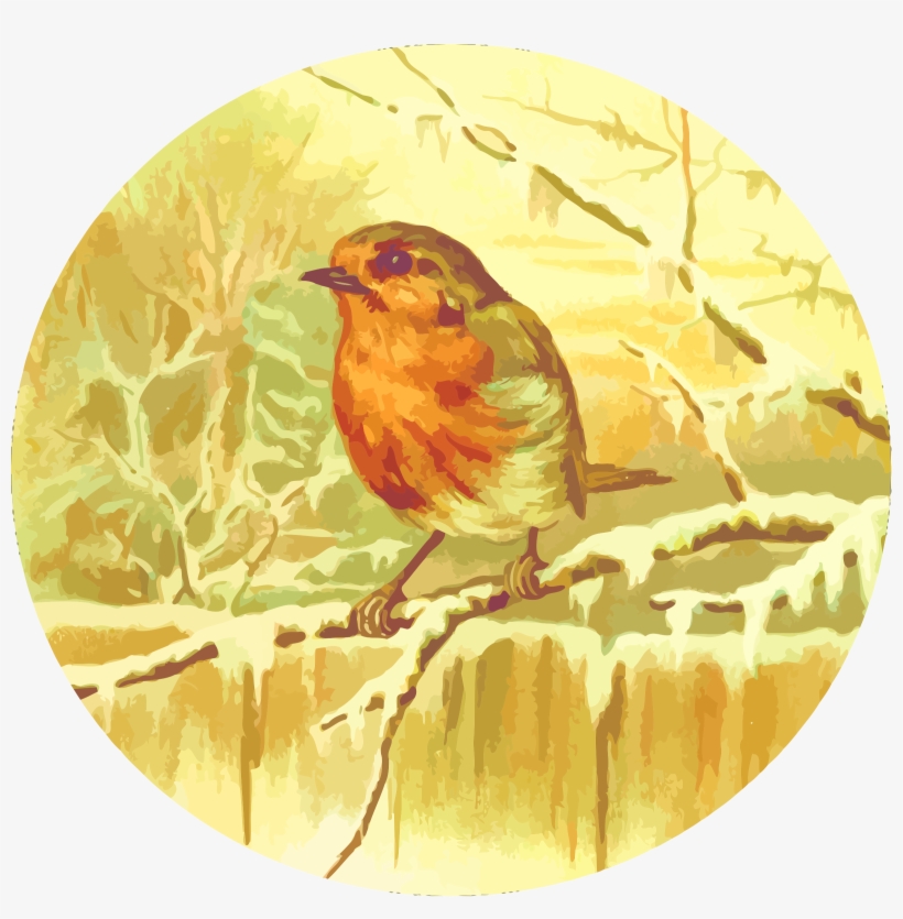 Robin Png - 2400x2327 PNG Download - PNGkit