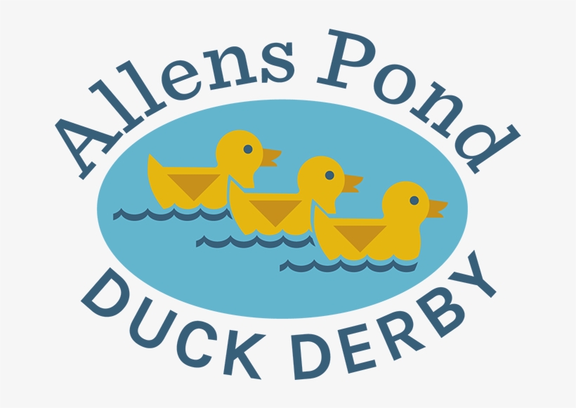 Adopt Your Ducks & Join The Race - Duck - 750x500 PNG Download - PNGkit