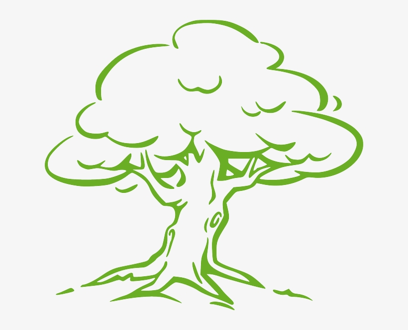 Shade Tree Cliparts - Oak Tree Easy Drawing - 640x584 PNG Download - PNGkit