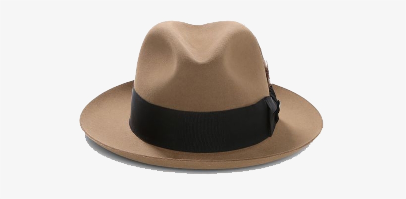Fedora - 540x708 PNG Download - PNGkit