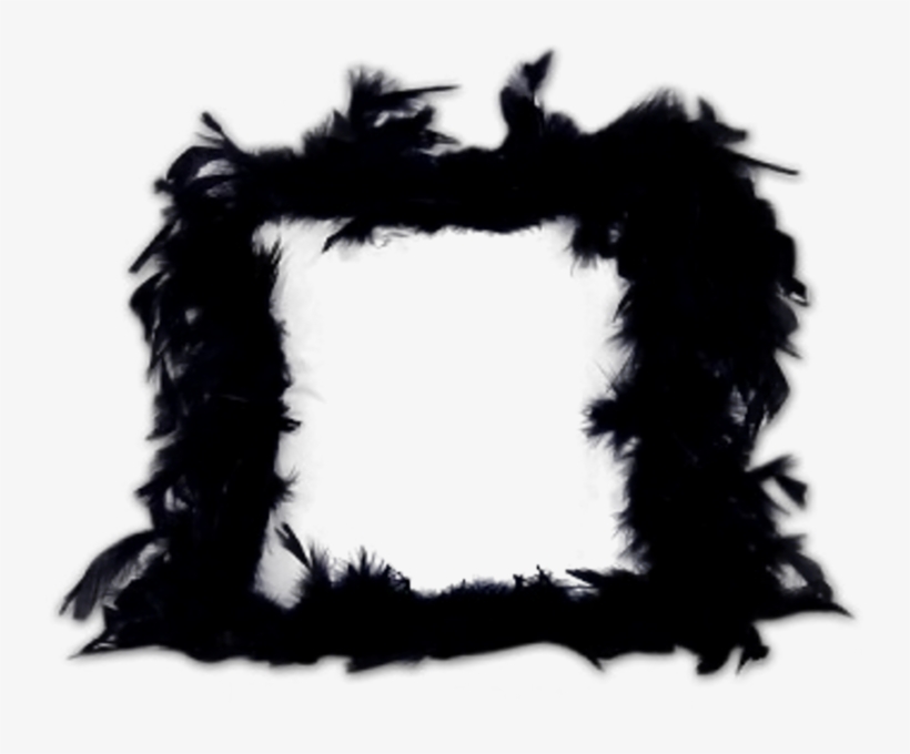Feather Frame - Transparent Feather Border Png - 737x600 PNG Download ...
